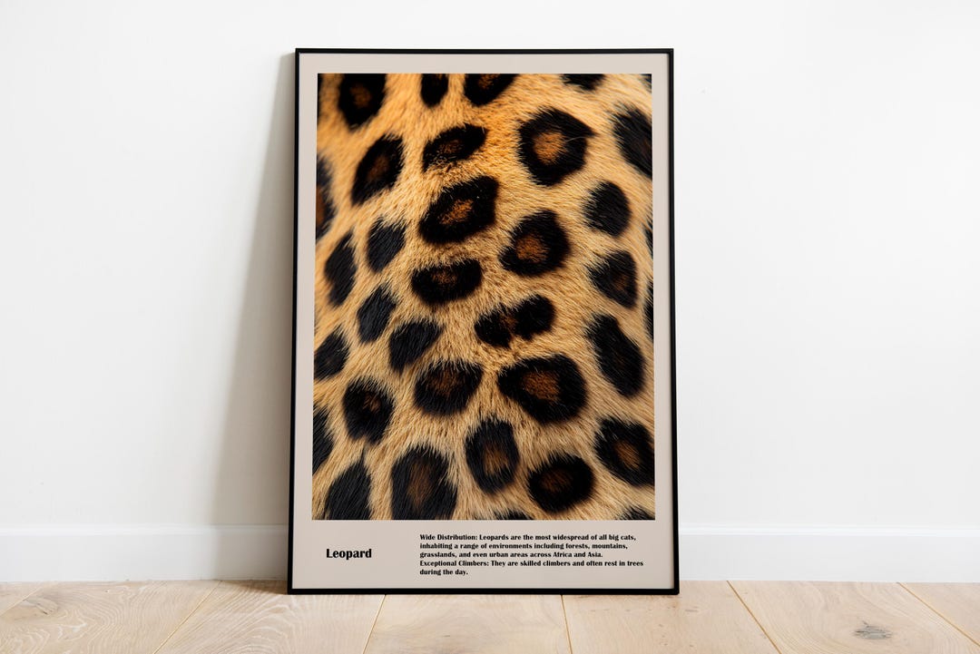 Leopard Definition Poster, Leopard Wall Art, Leopard Pattern Poster ...