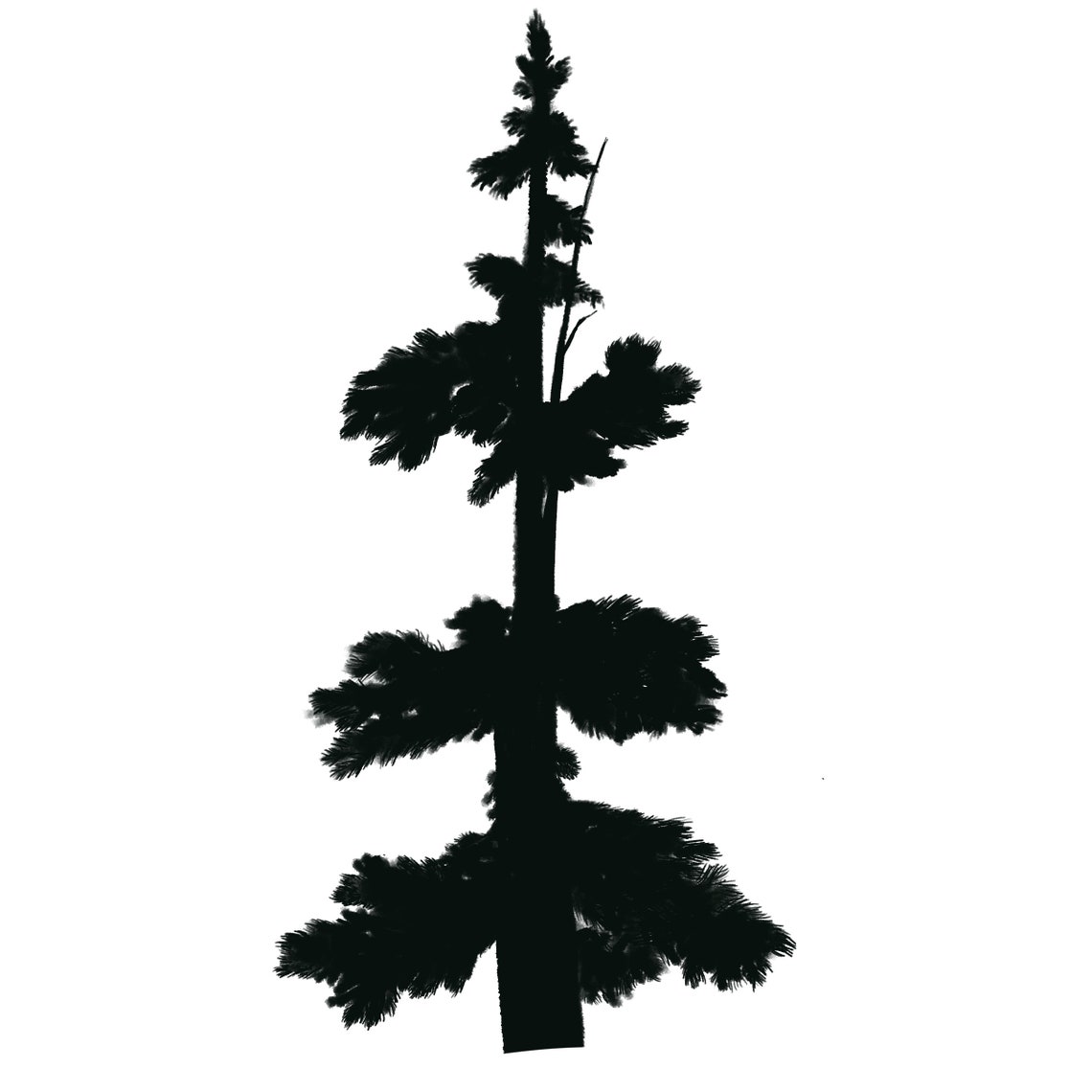 Pine Tree Procreate Brush Stamp Pack Etsy pine-tree-procreate-brush-stamp-pack-etsy