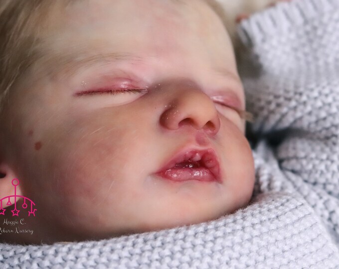 Reborn Baby Boy Sam by Vahni Gowing CUSTOM ORDER - Etsy Canada