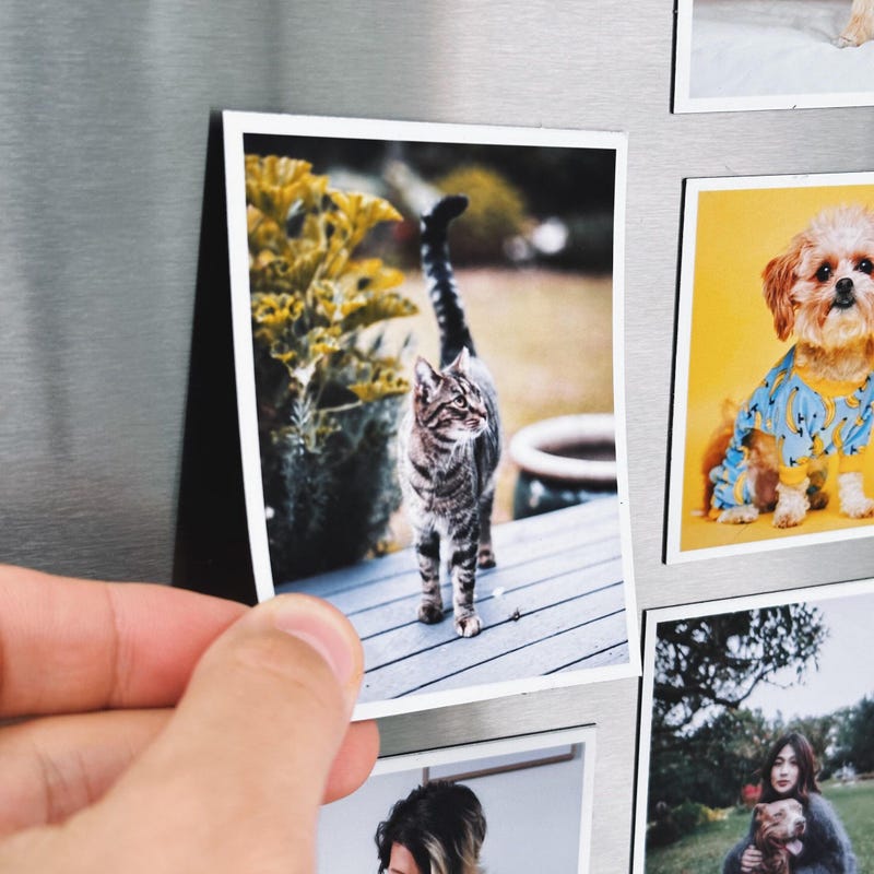 Retro Fridge Magnets - Etsy
