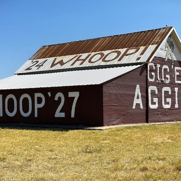 Aggie Etsy