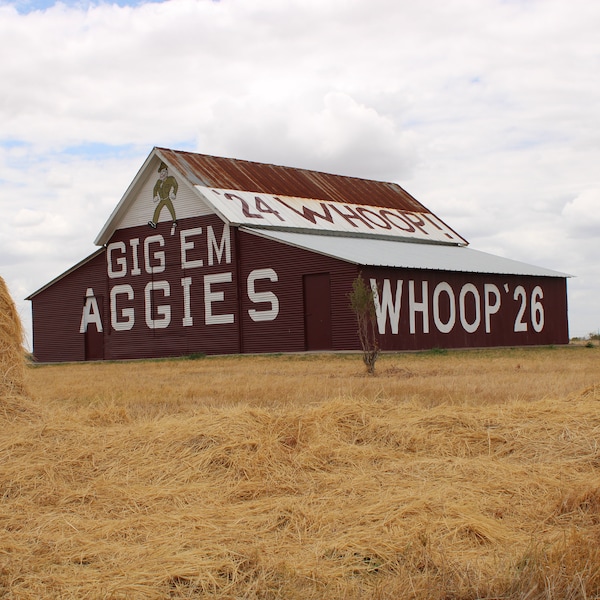 Aggie Etsy