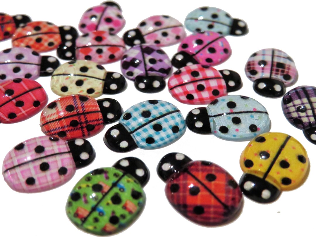 X20 Resin Colorful Pattern Ladybugs 15mm for Handcraft 15mm - Etsy