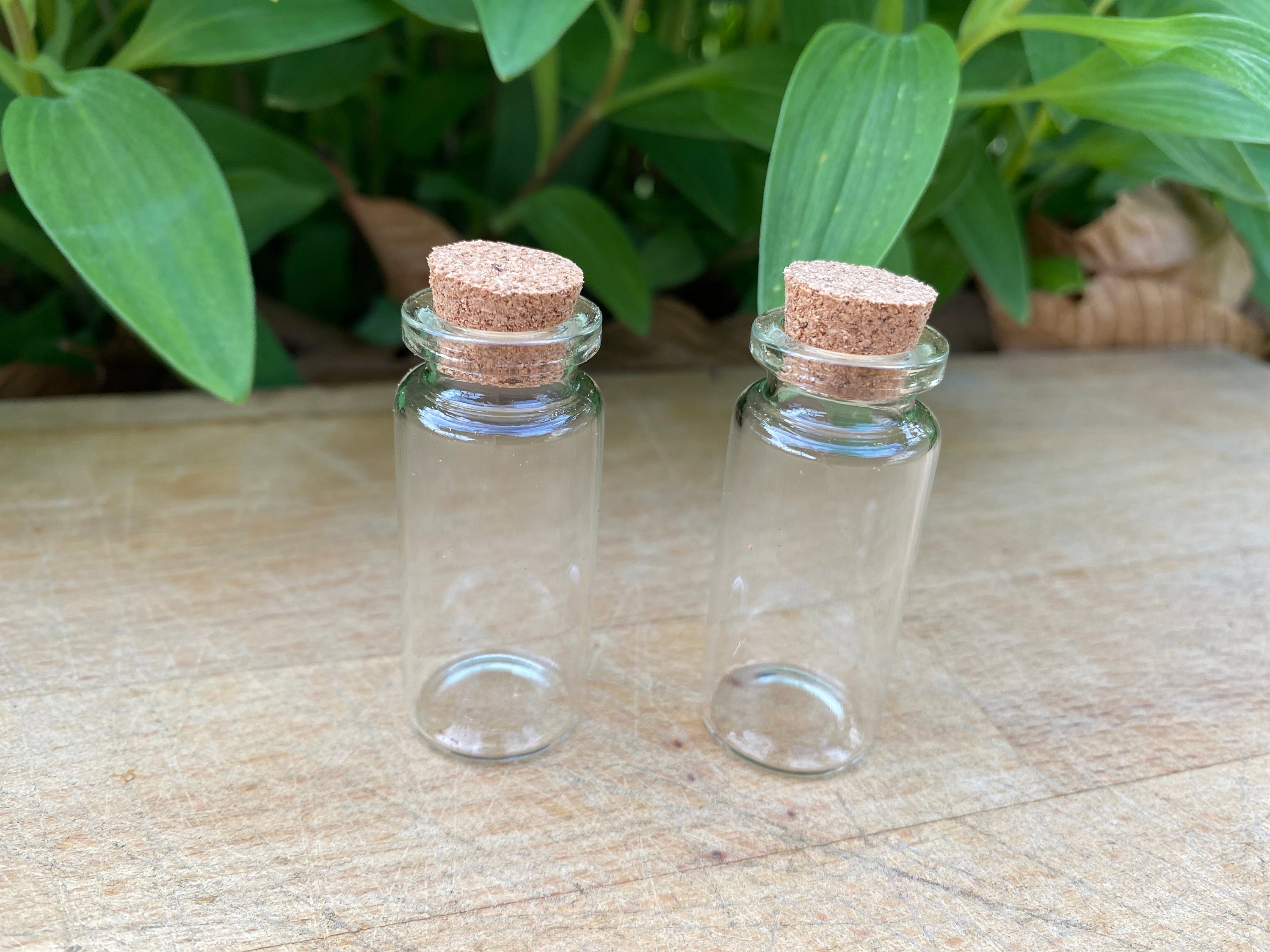 X2 Glass Vials Empty Glass Vial Glass Bottles Miniature | Etsy