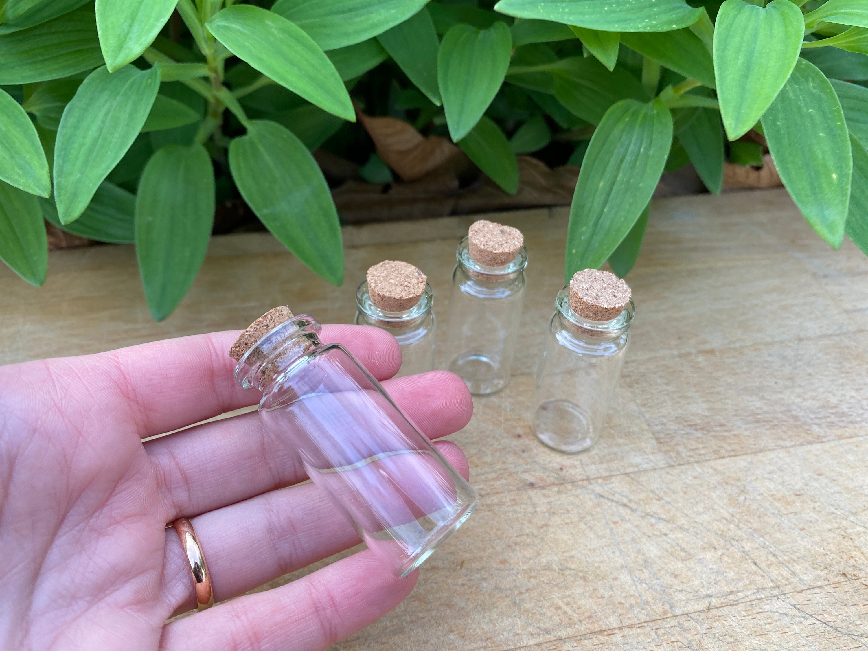 X2 Glass Vials Empty Glass Vial Glass Bottles Miniature | Etsy
