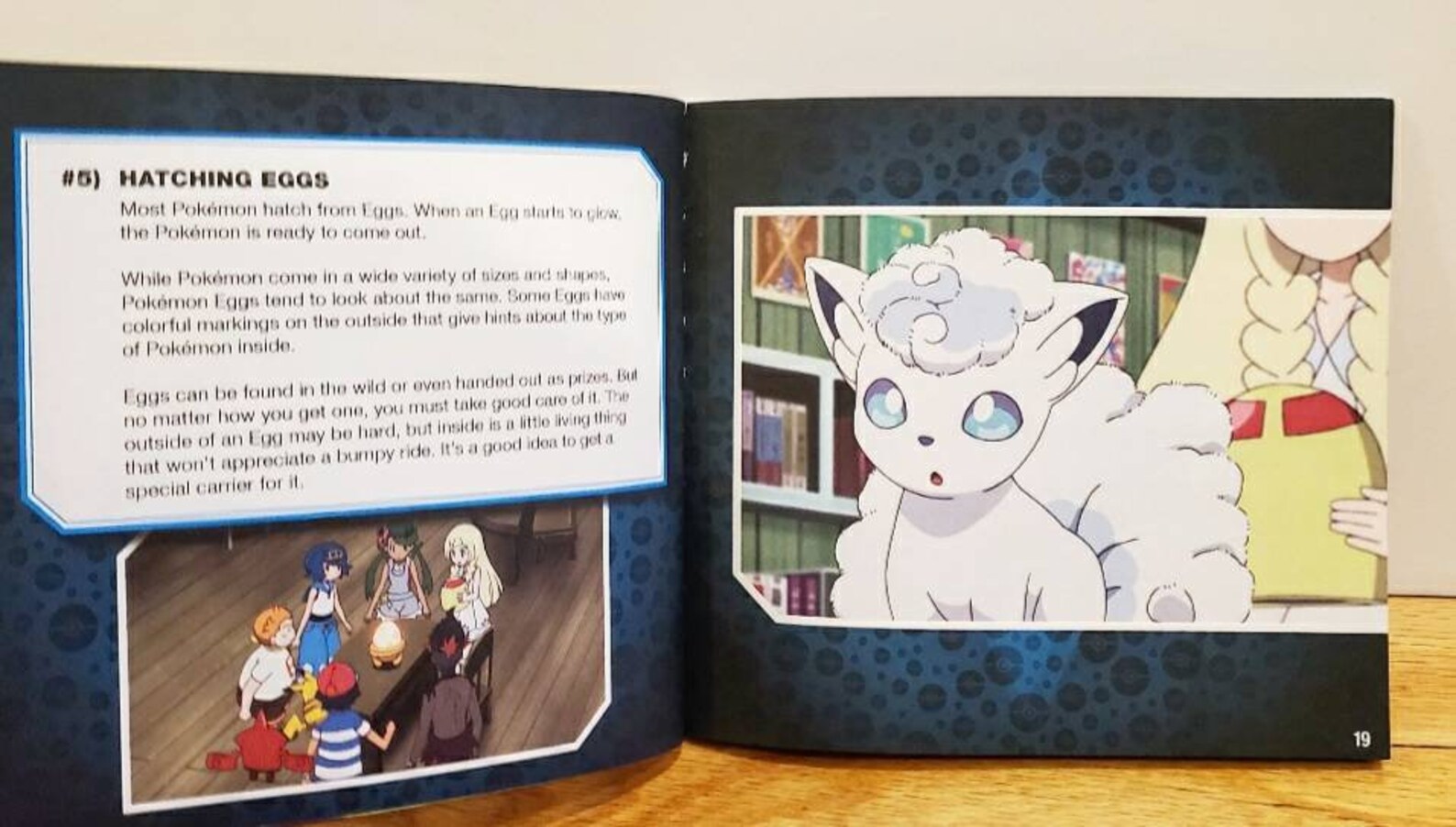 Pokemon Training Manual Pokemon Book Pokemom Traning Manual - Etsy