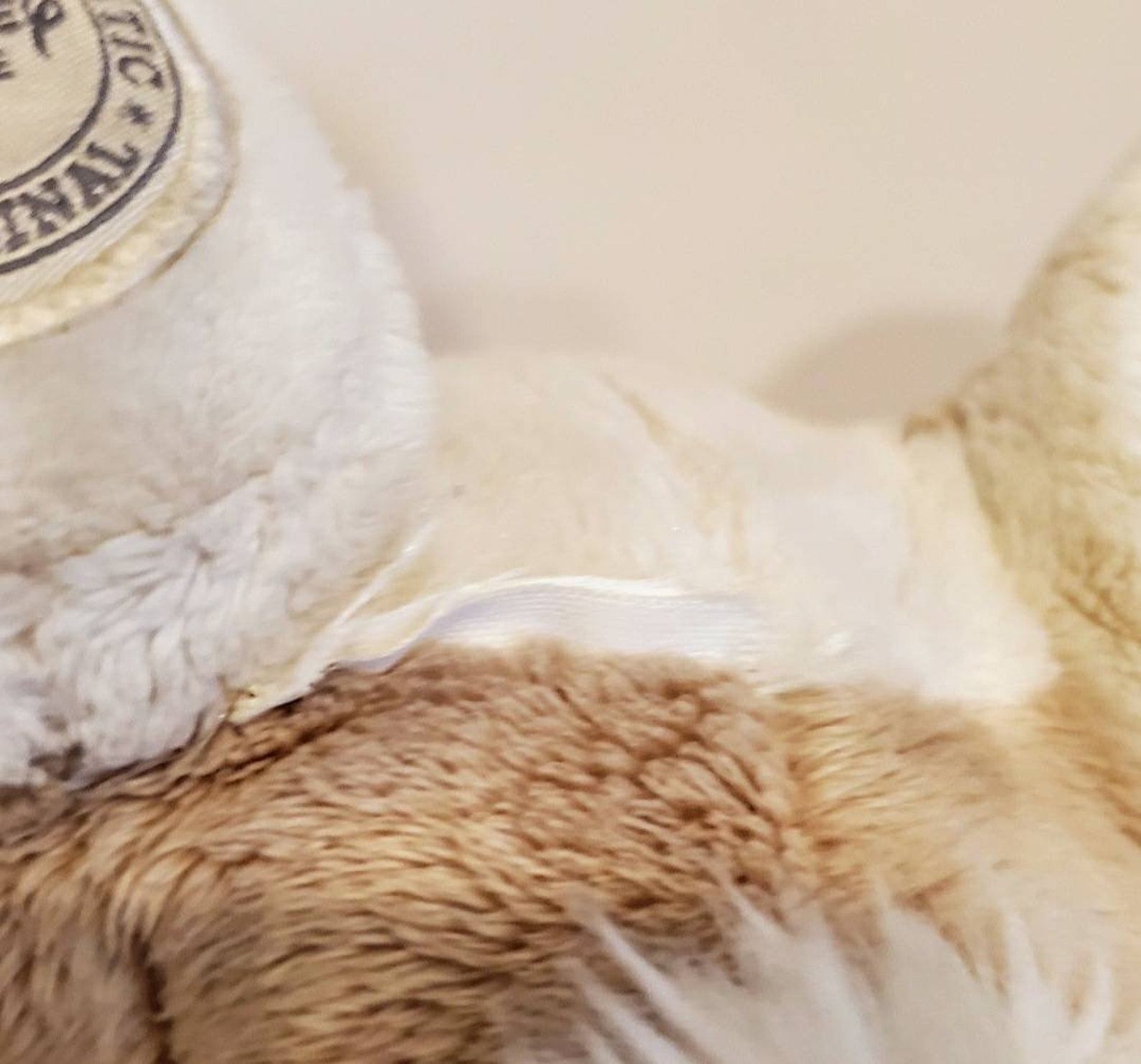 Disney Thumper Plush Thumper Stuffed Animal Thumper Plush - Etsy