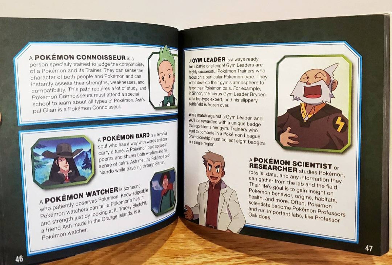 Pokemon Training Manual Pokemon Book Pokemom Traning Manual - Etsy