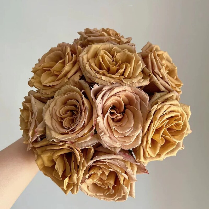Toffee Rose - Etsy