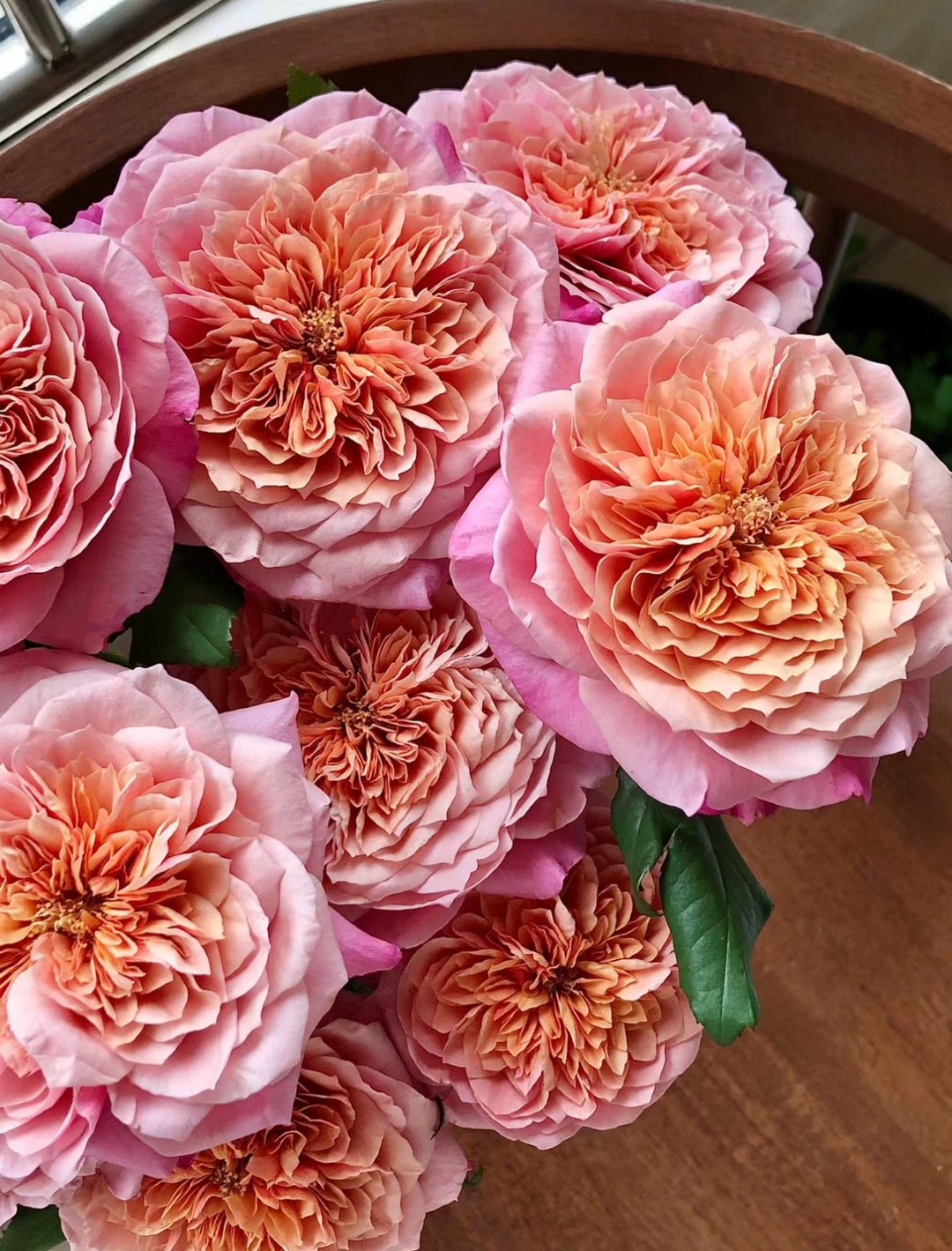 Miyabi 雅 Japanese Rose Cut Rose.continue Blooming- 6 Inch - Etsy