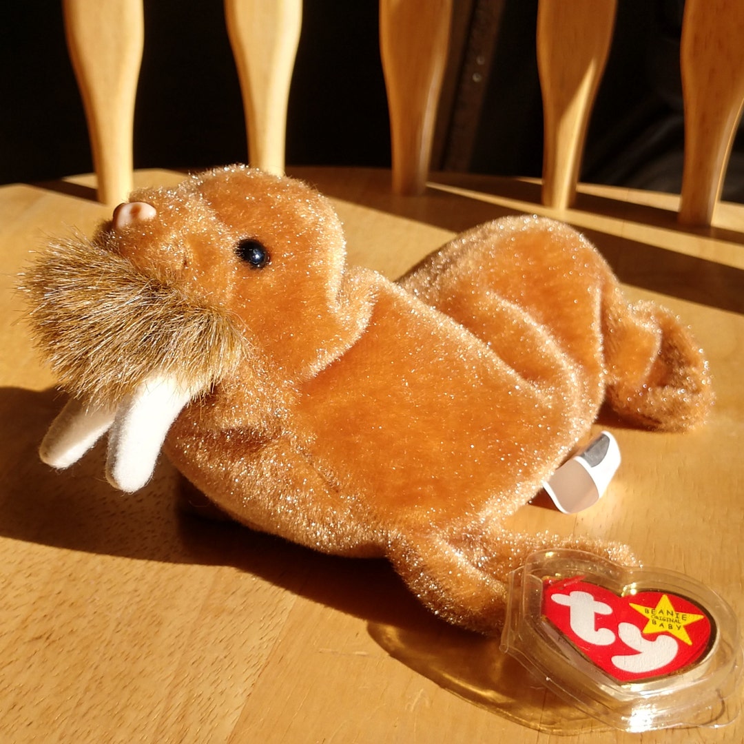 Paul the Walrus ~ 1999 Ty Beanie Baby ! Brand New W/ Heart Protector ...
