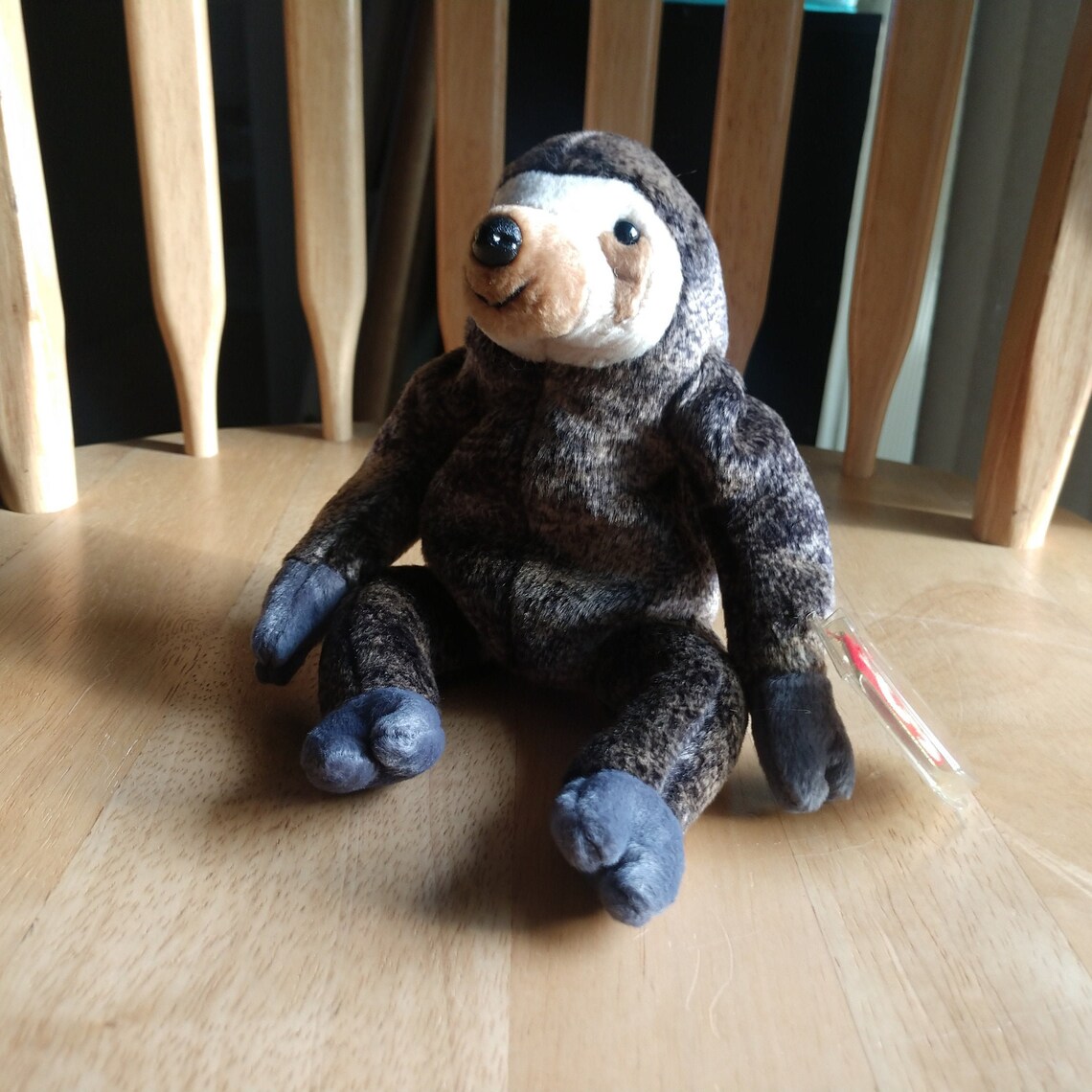 Slowpoke the Sloth 1999 Ty Beanie Baby Brand New w/ Heart | Etsy