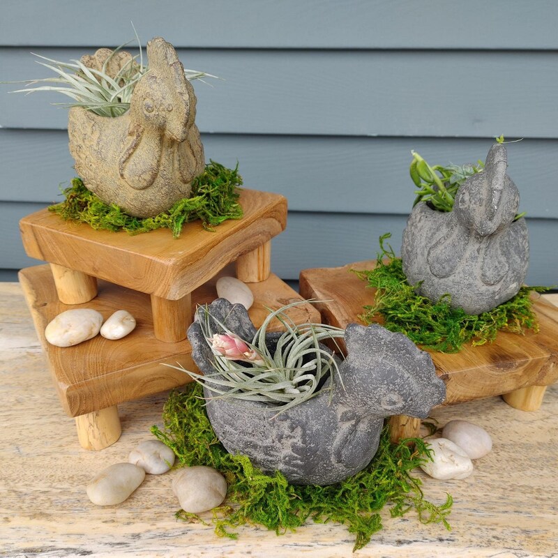 Chicken Planter Pot - Etsy