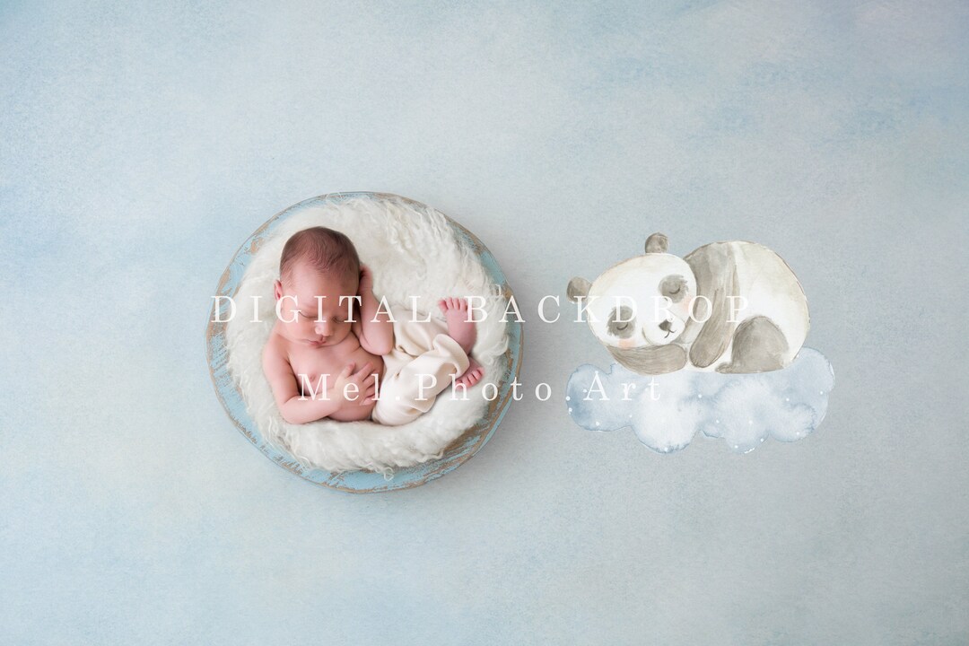 Newborn Boy, Digital Backdrop, Newborn Boy, Newborn Girl, Digital ...