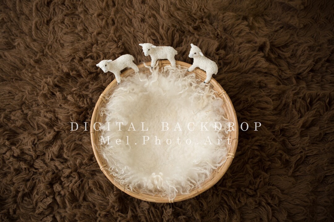 Newborn Digital Backdrop With Lambs, Photography, Digital Backdrops for ...