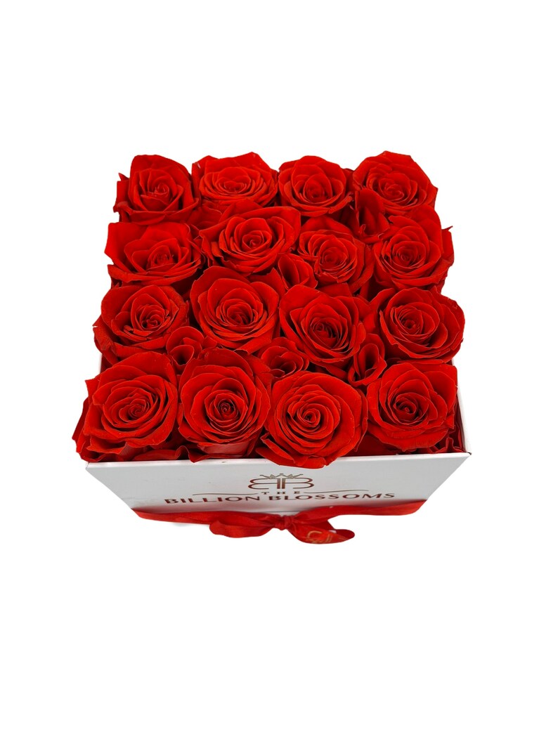Large Square Red Roses in White Box Preserved Long Lasting - Etsy