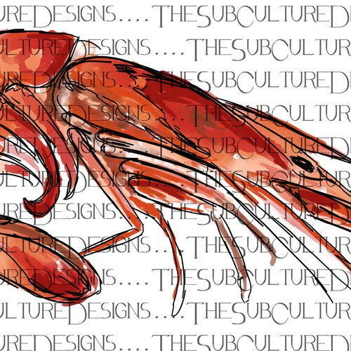Shrimp Shrimp SVG SVG Files Prawn Svg Clip Art SVG - Etsy