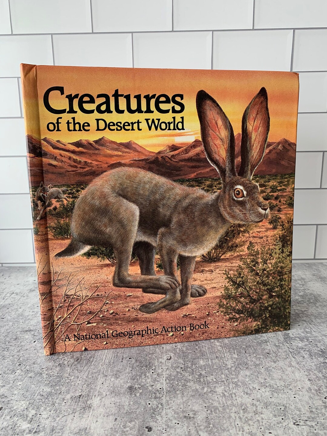 Vintage Pop-up Book creatures of the Desert World 1980s National ...