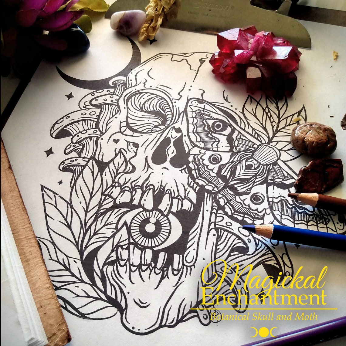 Halloween Coloring Page Magical Skull and Moth Coloring Page for Adults ...