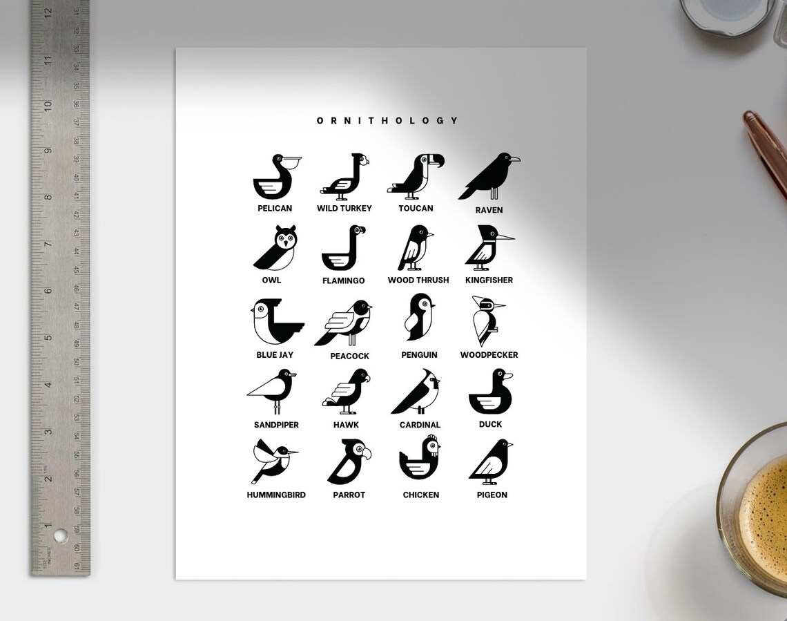 Printable Children's Ornithology Print | Black and White | Modern Bird ...