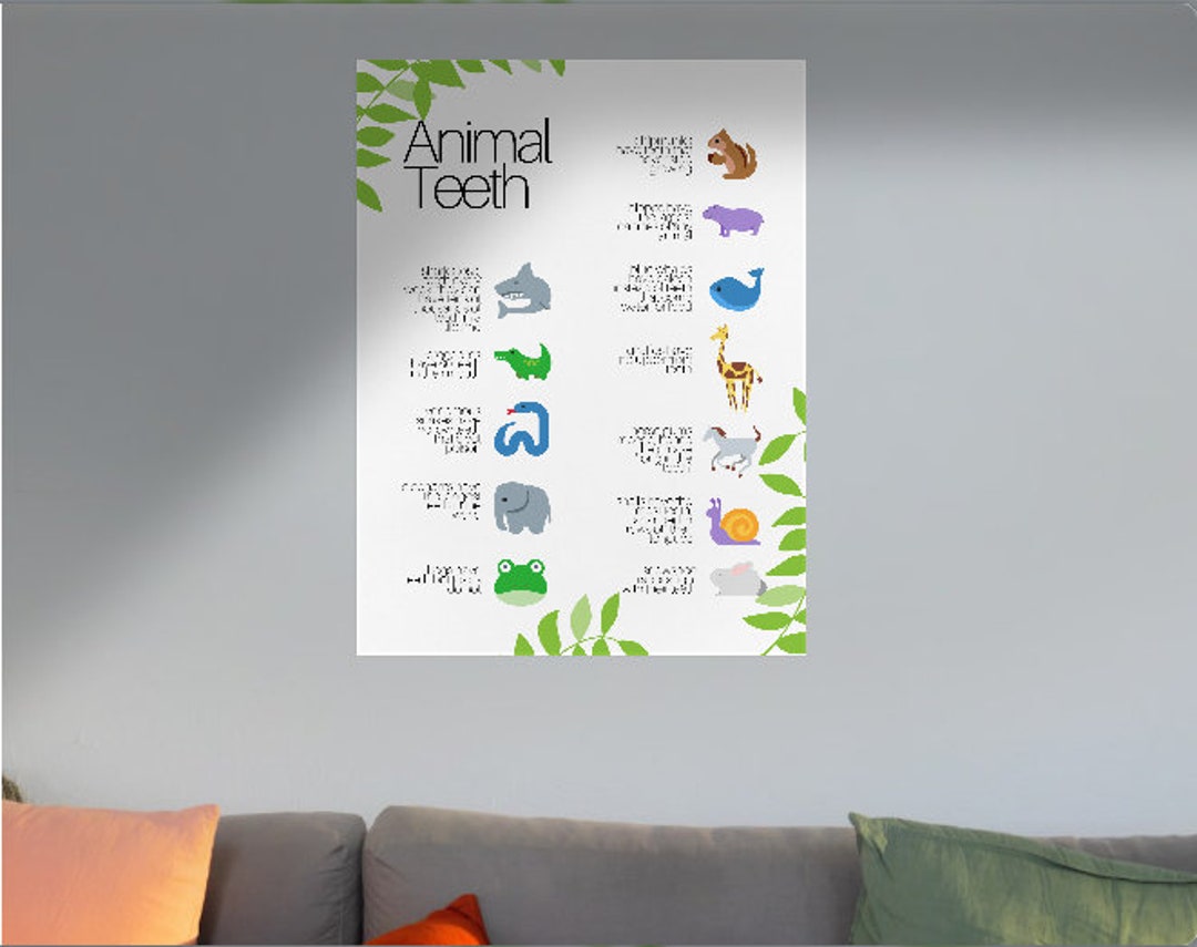 Animal Teeth Facts Poster | Wall Art for Dental or Pediatric Doctor's ...