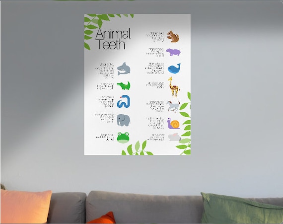 Animal Teeth Facts Poster Wall Art For Dental Or Pediatric | Etsy