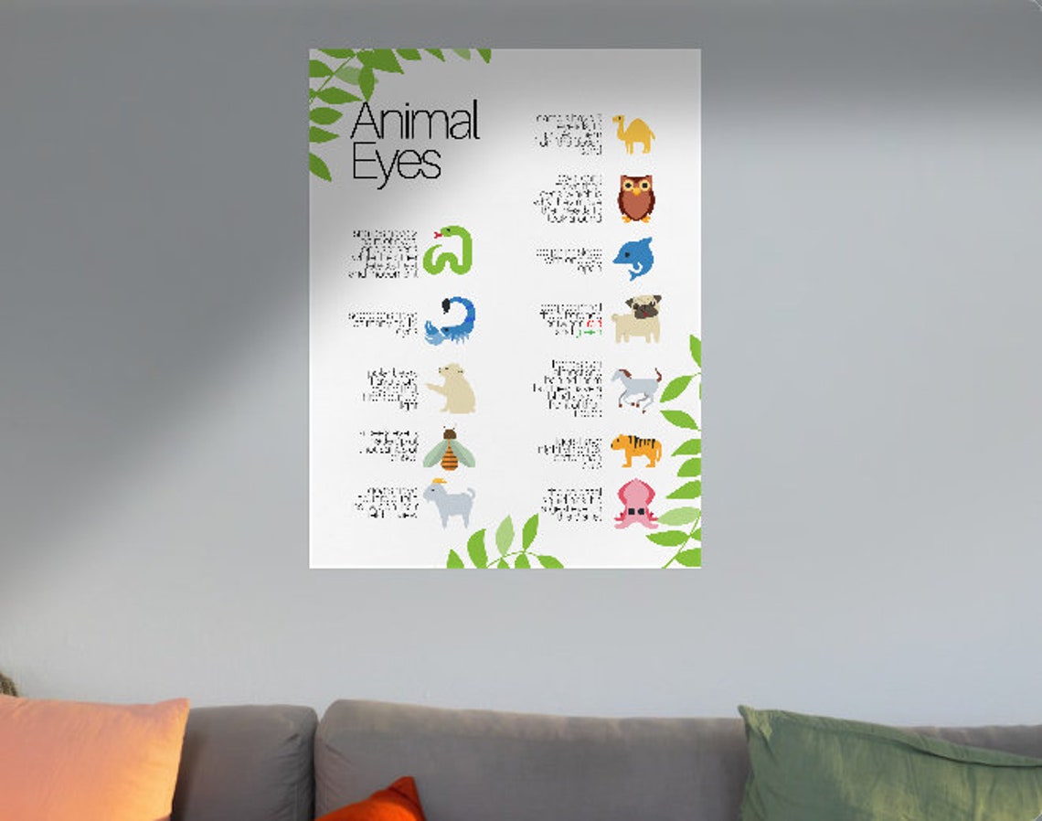 Animal Eye Facts Poster Wall Art for Optometry - Etsy