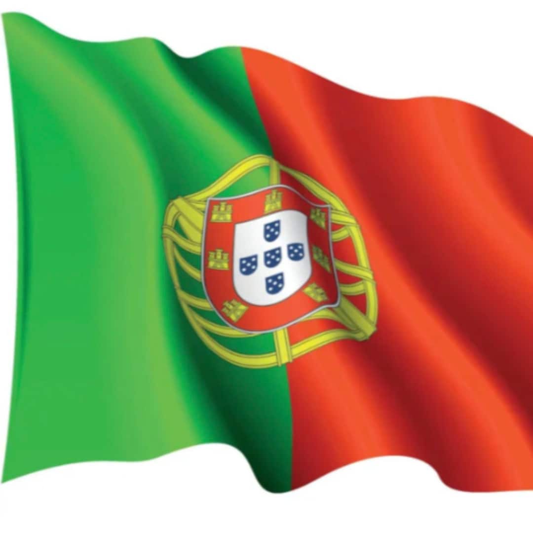 Portugal National Flag Quinas Soccer Waving Pole Flags Portuguese - Etsy