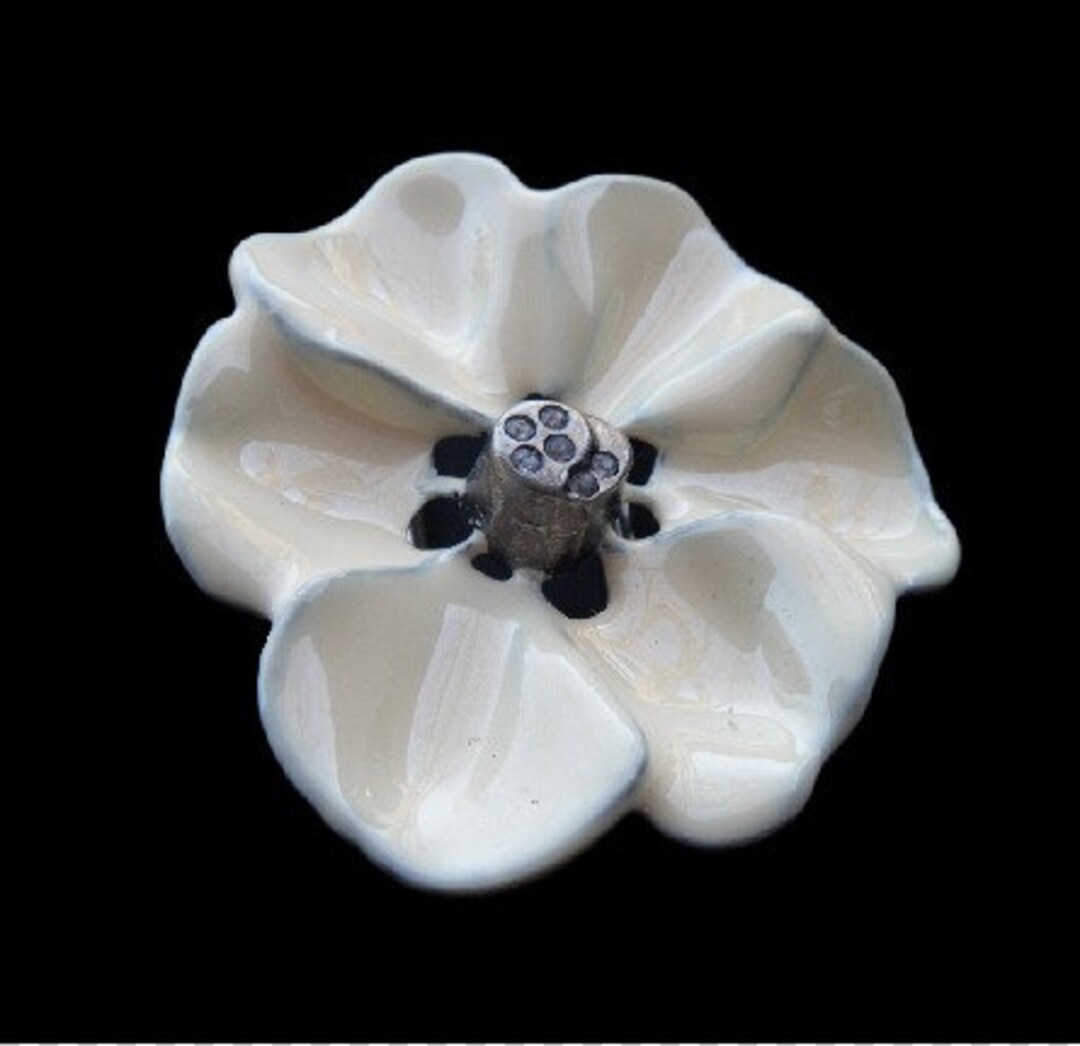 Belt Buckle Orchid Flower Blooming Petals Floral White Orchids Flowers ...