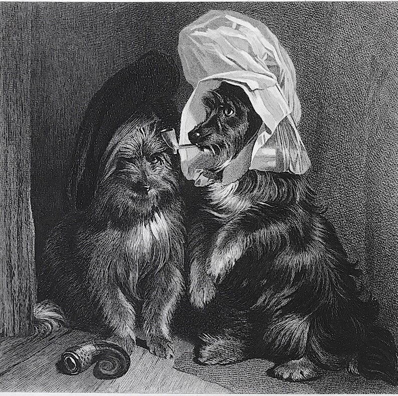 1869 Comical Dogs Drawing by Sir Edwin Landseer Painter and - Etsy