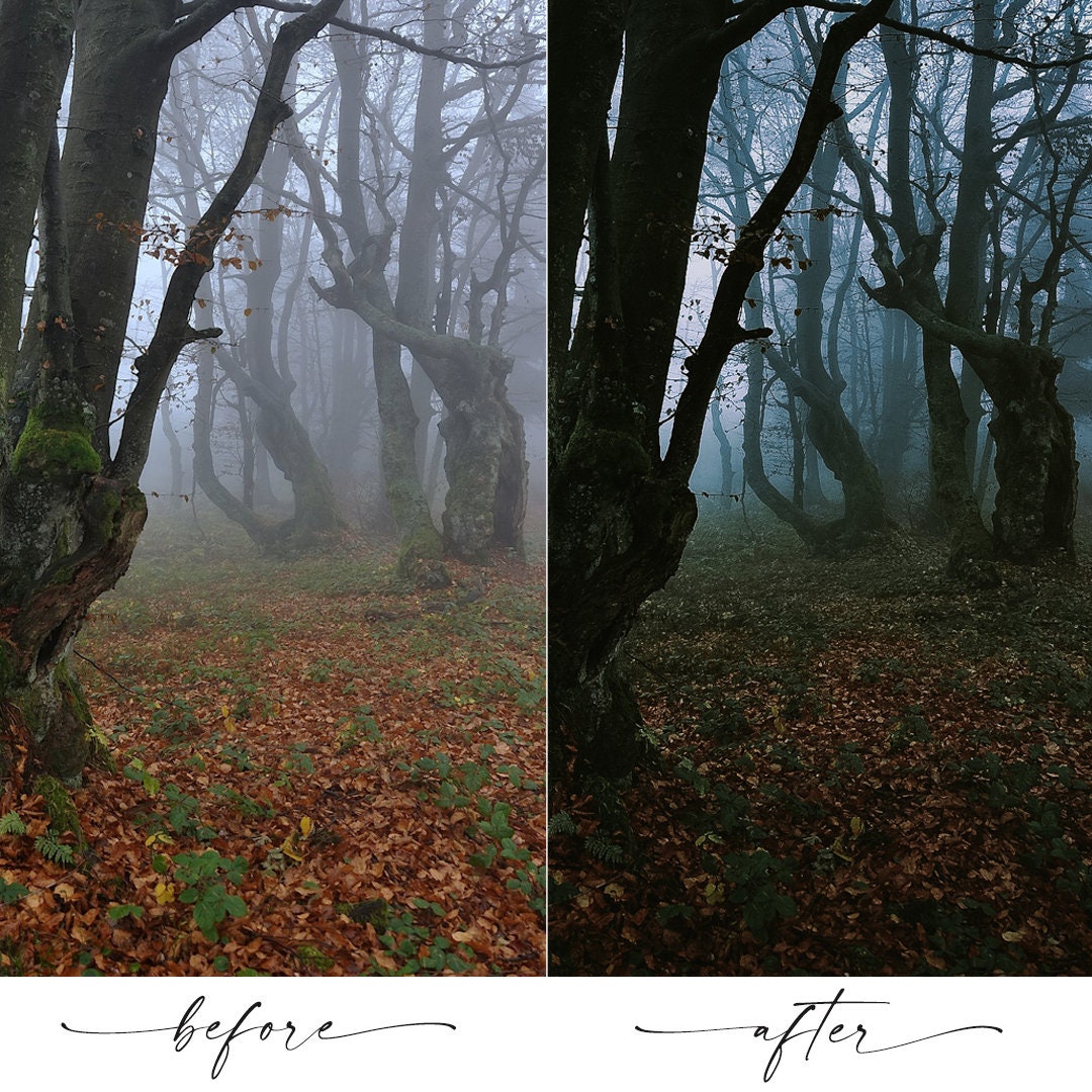 10 DARK & MOODY Lightroom Presets for Mobile and Desktop, Dark Presets ...