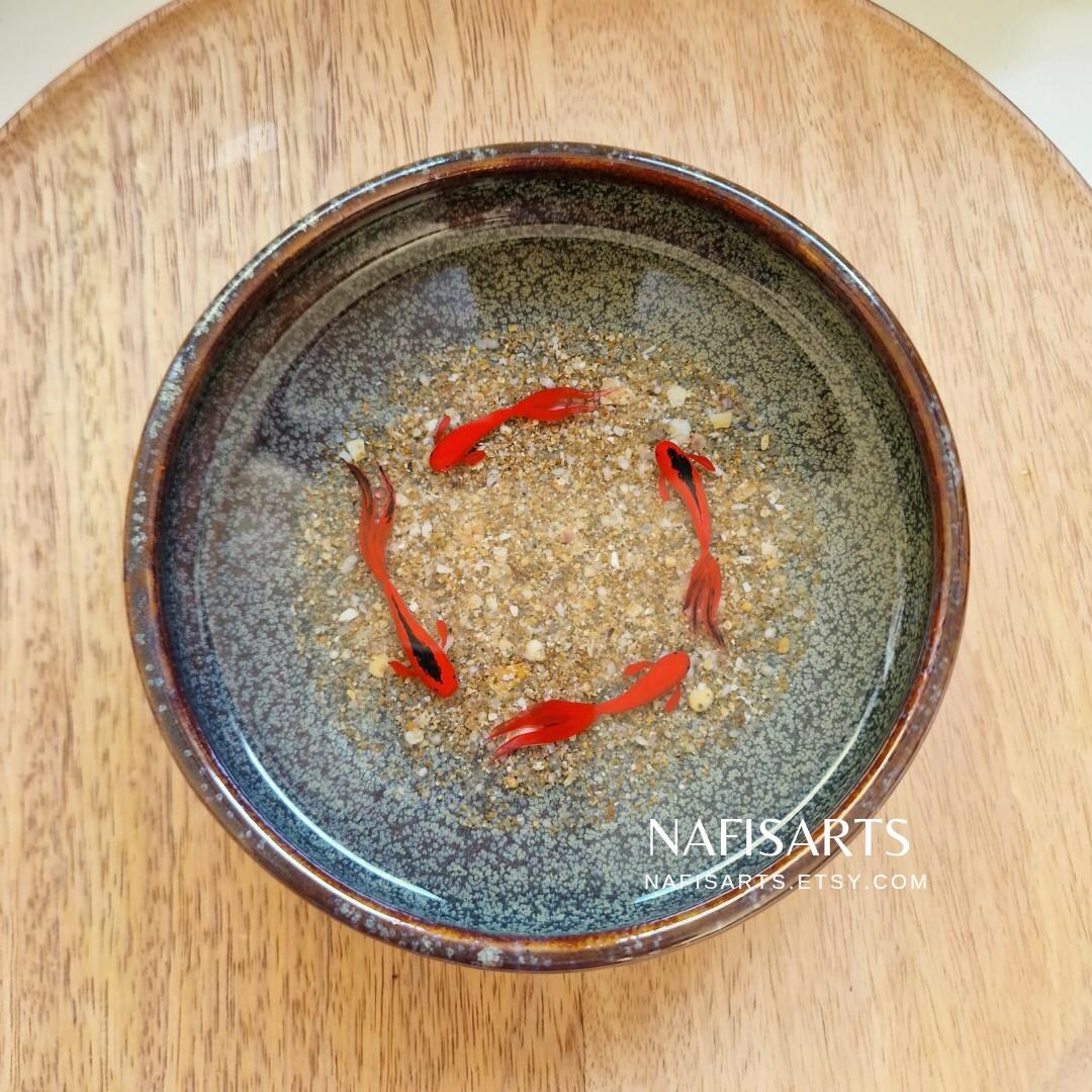 Eternal Red Koi Fish, Resin Fish Pool, Decorative Dish, Boho Style ...