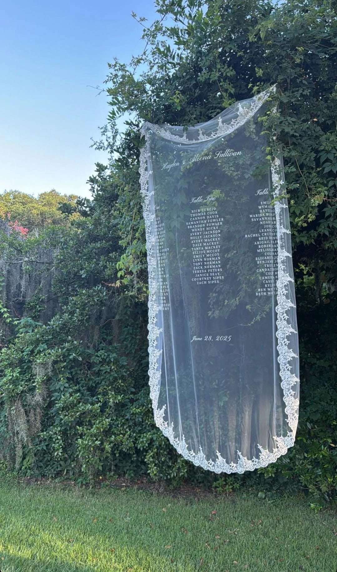 Seating Chart Veil Sign Welcome Fabric Sign, Sheer Sign, Wedding Veil ...