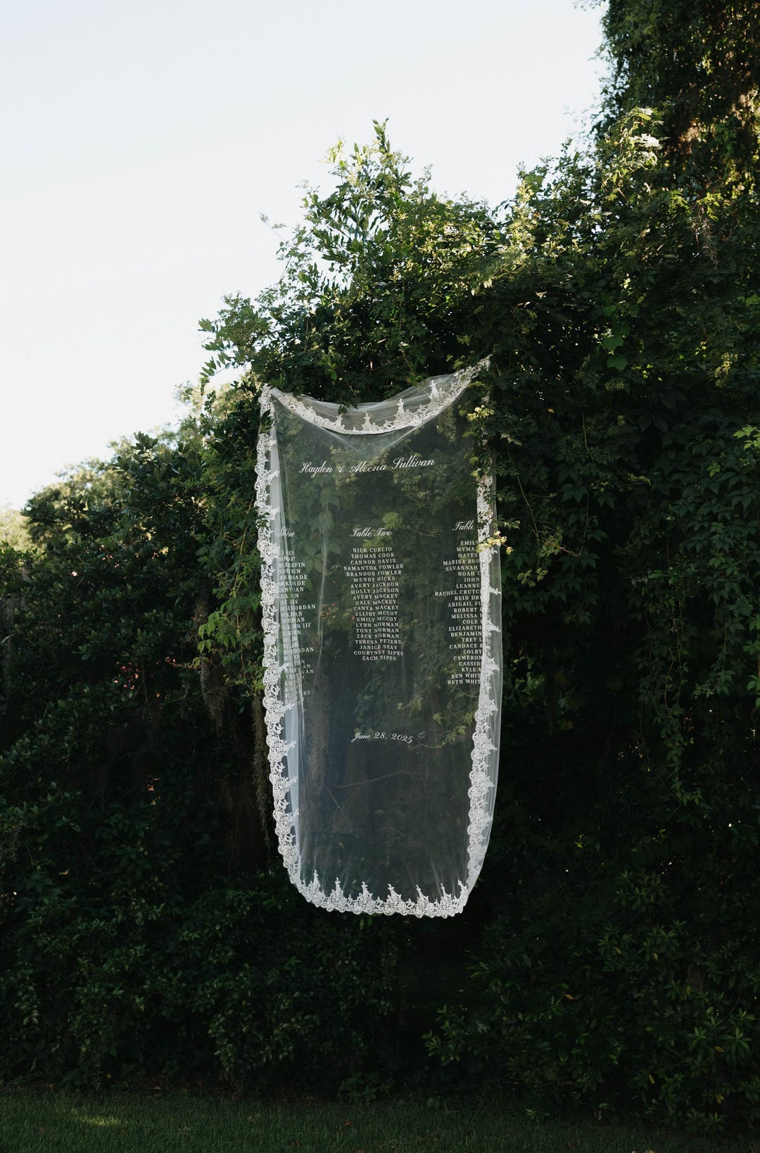 Seating Chart Veil Sign Welcome Fabric Sign, Sheer Sign, Wedding Veil ...