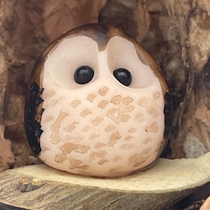 Owl in a Nutshell, Handmade Walnut Shell Decoration - Etsy