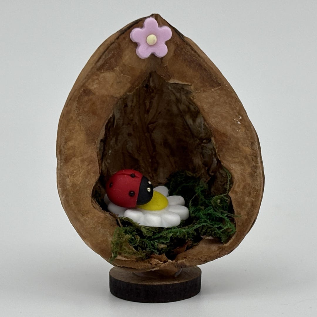 Ladybird in a Nutshell - Handmade Walnut Shell Decoration - Etsy