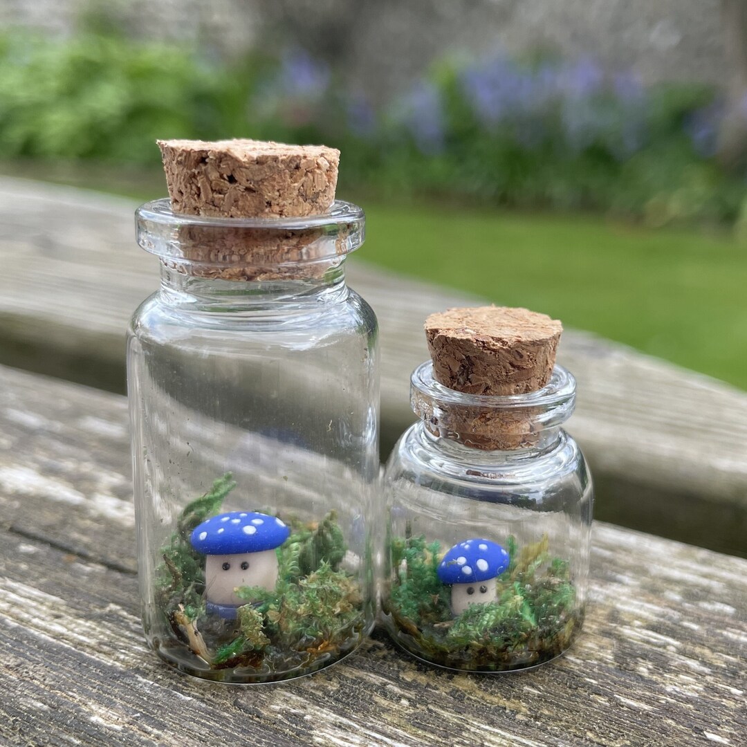 Blue Toadstool in a Bottle - Etsy