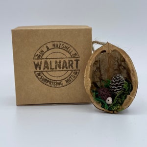 Hedgehog in a Nutshell, Handmade Walnut Shell Decoration - Etsy