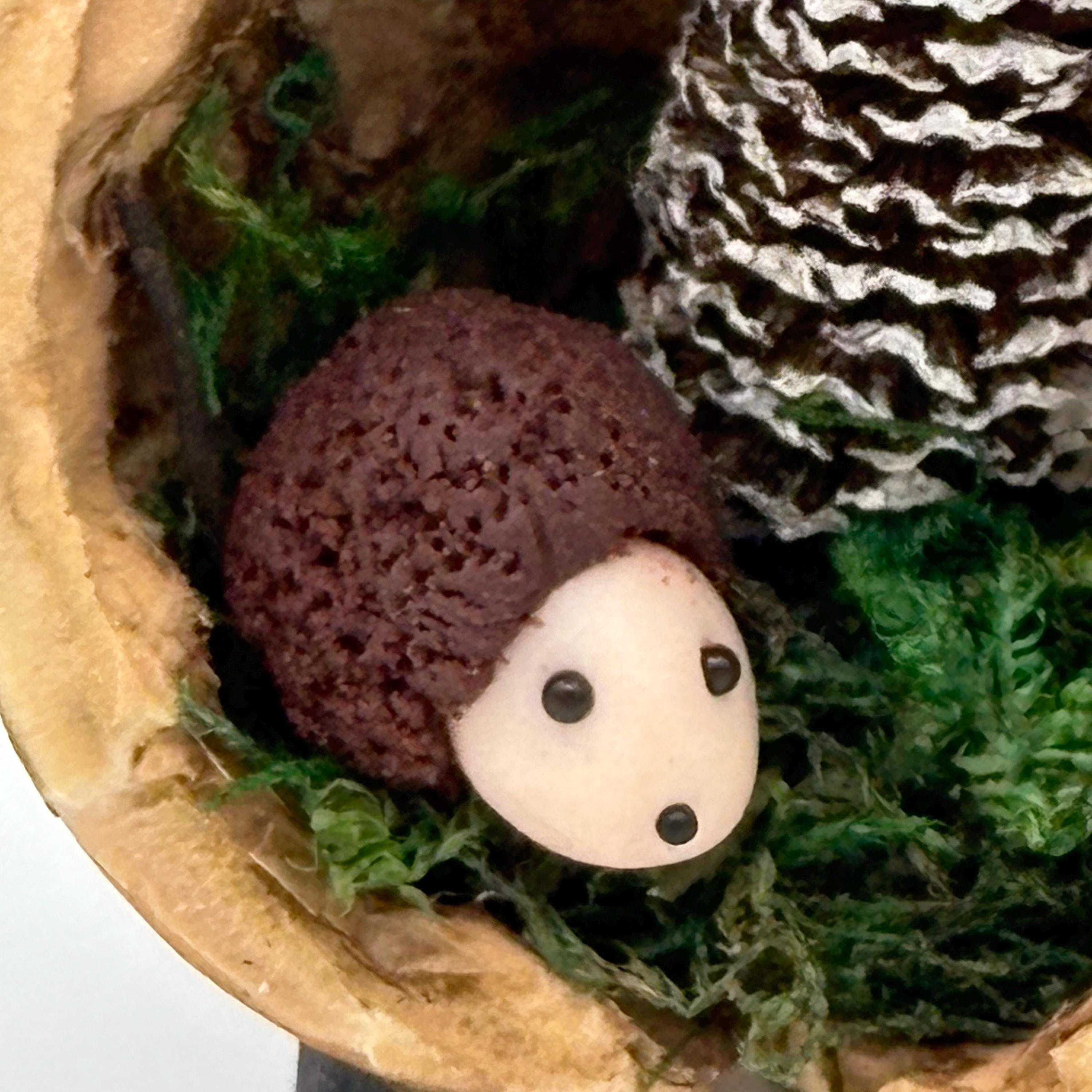 Hedgehog in a Nutshell, Handmade Walnut Shell Decoration - Etsy