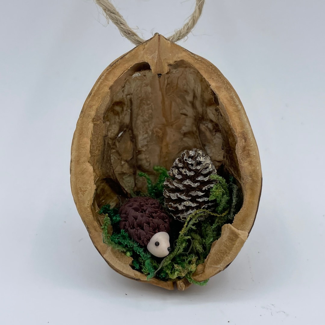 Hedgehog in a Nutshell, Handmade Walnut Shell Decoration - Etsy
