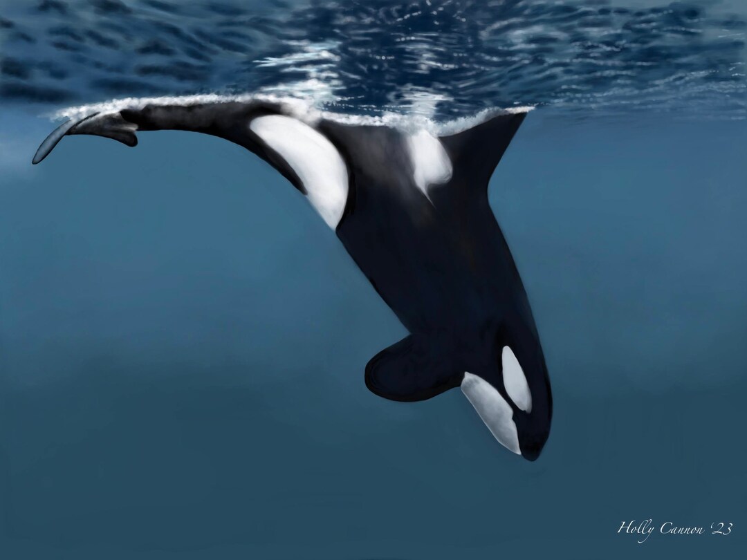 Original Orca Killer Whale Digital Painting Print Home Decor Wall Art ...