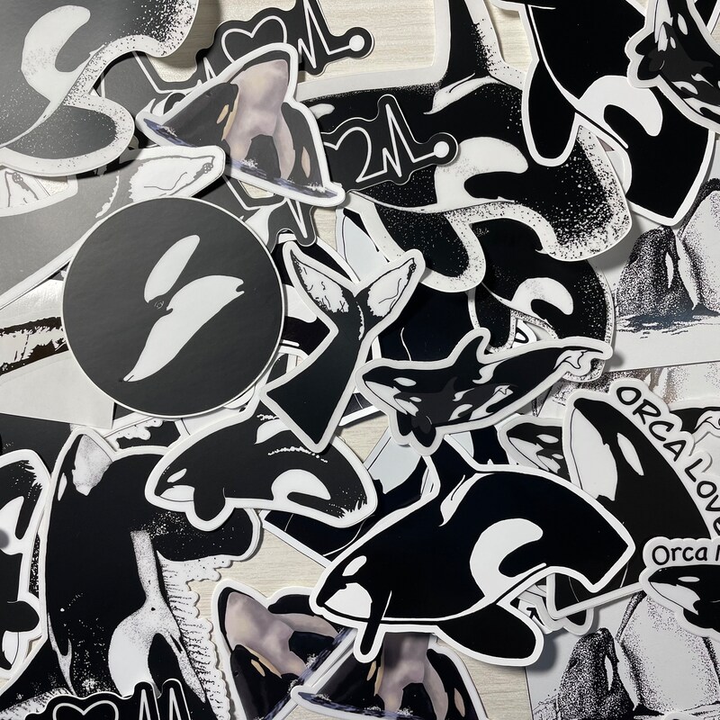 Orca Whale Decal - Etsy