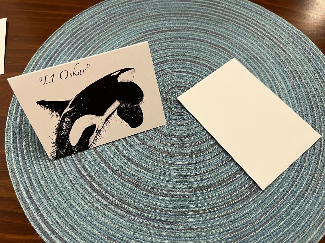 Orca Killer Whale Blank 3.5" X 5" Notecard Gift Thank You Happy ...