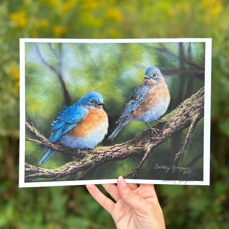 Eastern Bluebird Couple - PRINT 8.5x11 Inches - Etsy