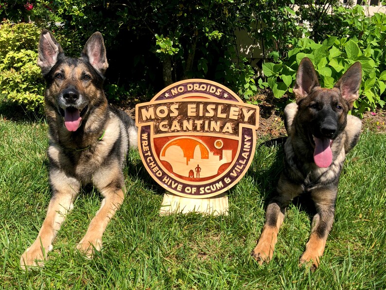 Mos Eisley Cantina Sign No Droids - Etsy