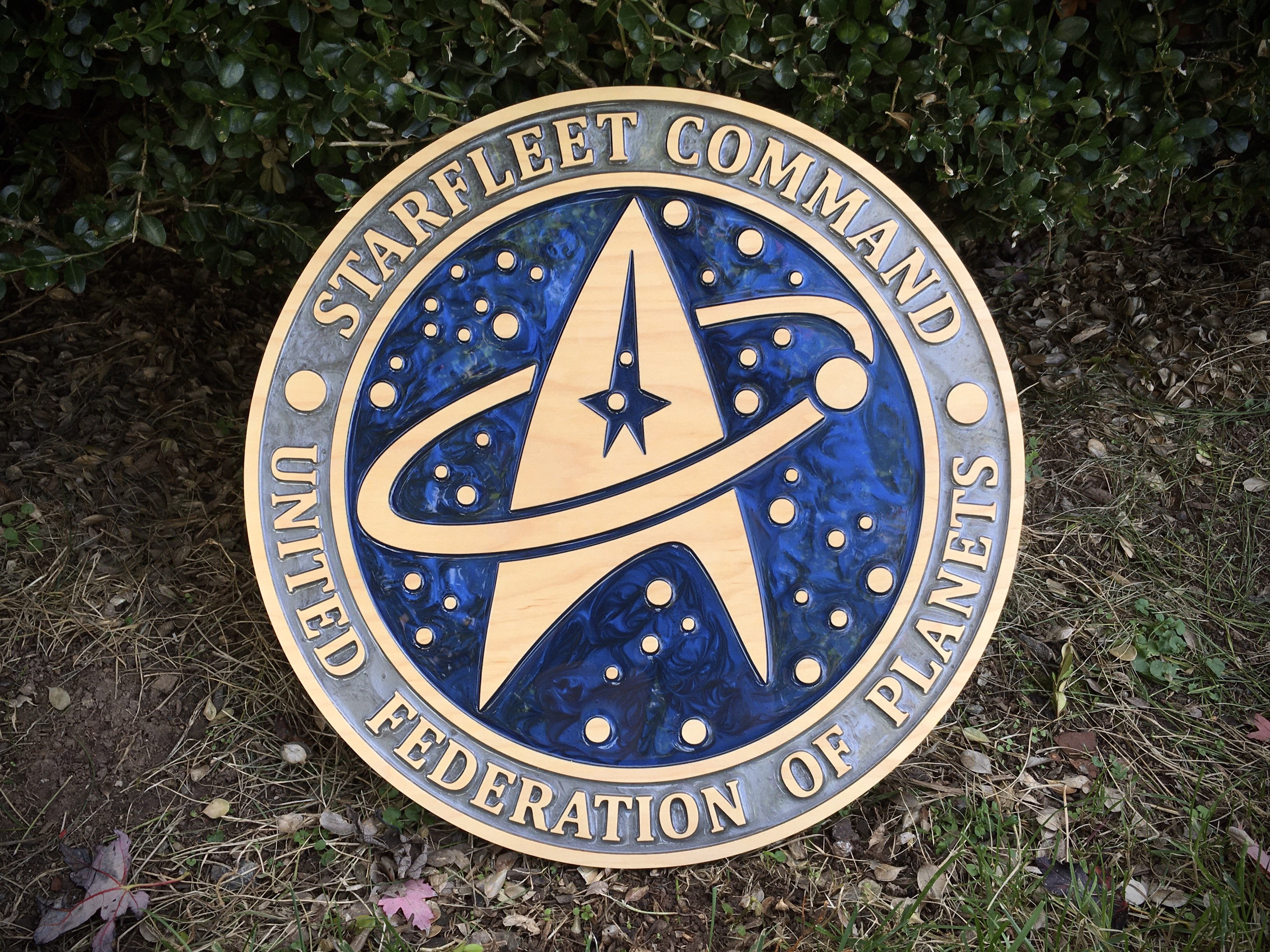 Star Trek Starfleet Command Badge Sign United Federation of - Etsy UK