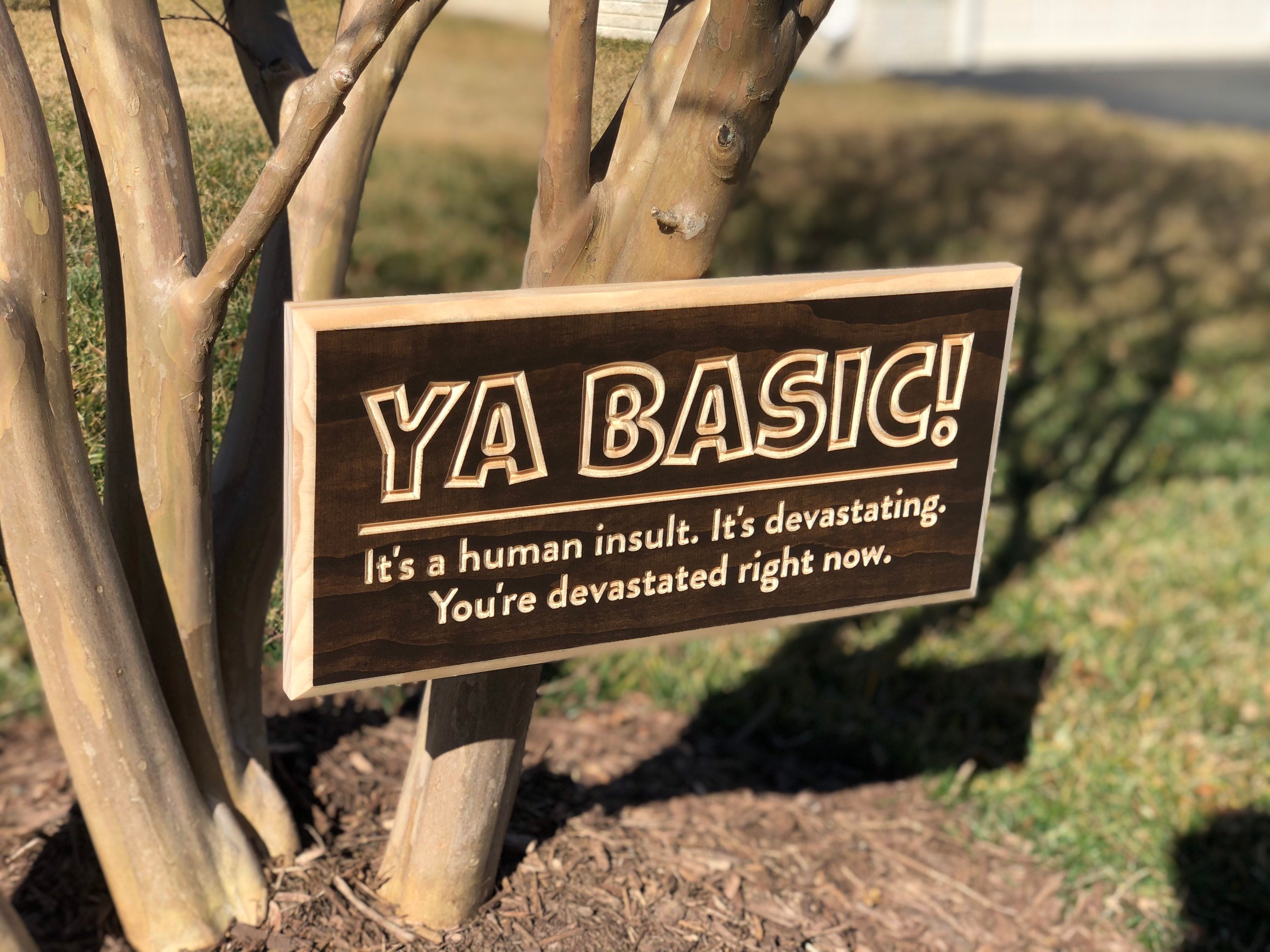 YA BASIC The Good Place Sign Eleanor Shellstrop Wooden | Etsy