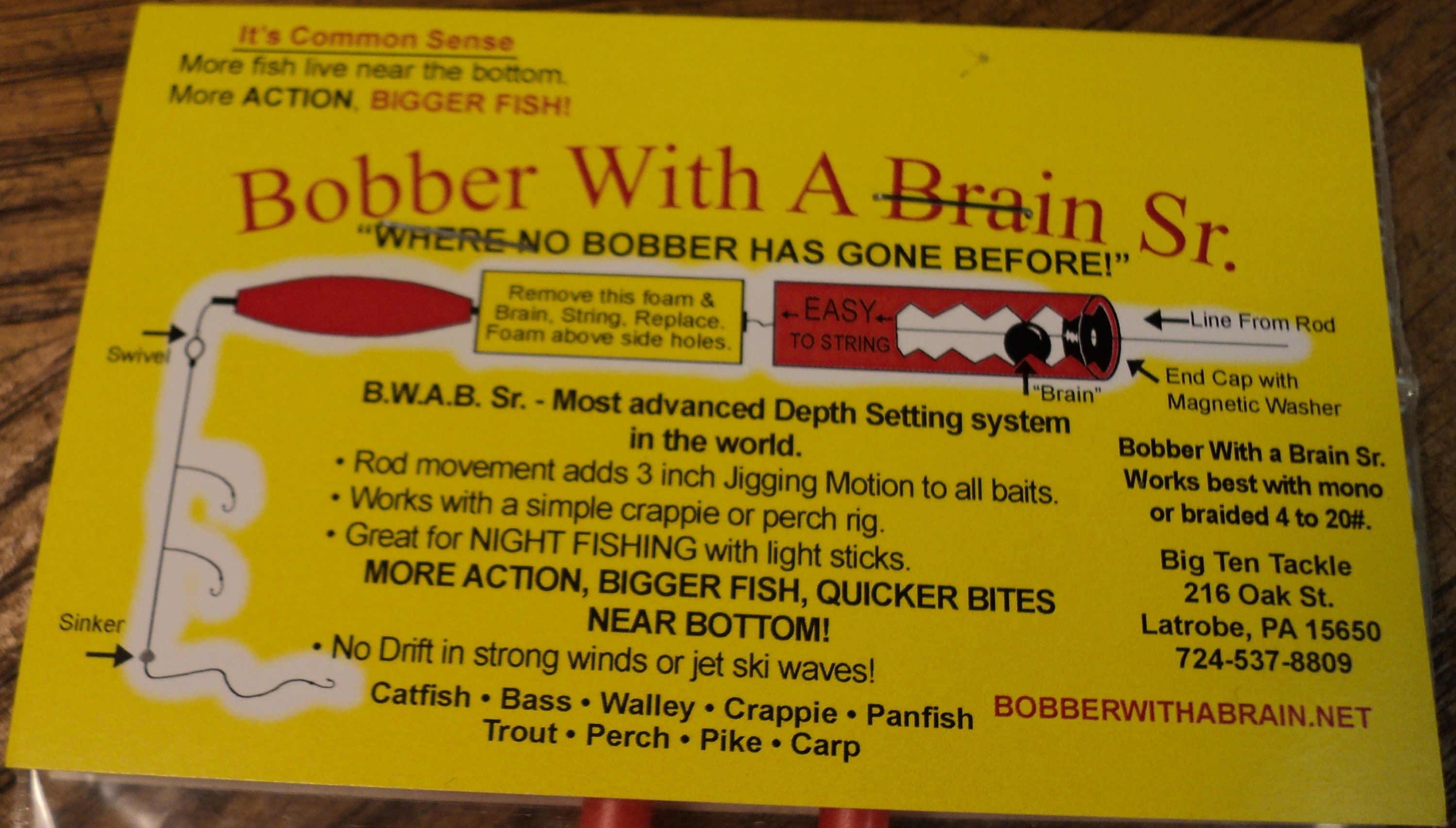 Bobber With A Brain Sr 3 Pack Slip Float W/ 1 Rig Trout Bass Crappie ...