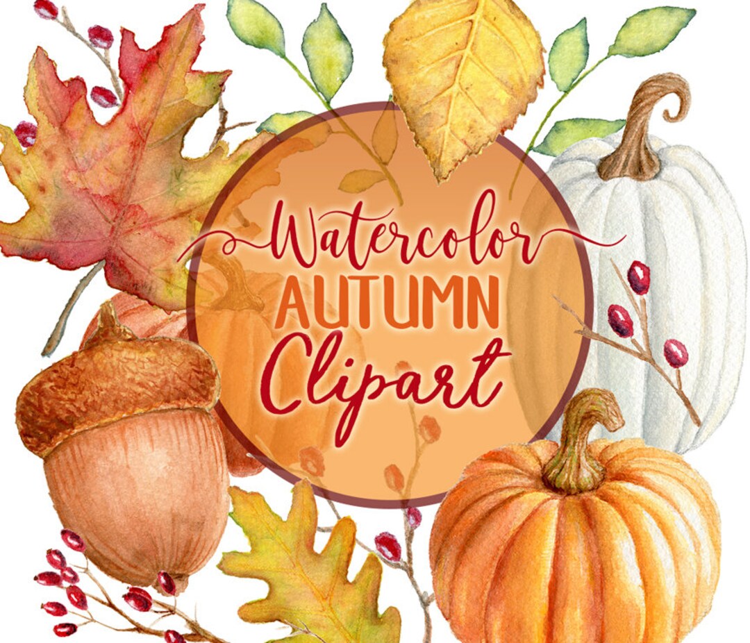 Watercolor Autumn Clipart Pumpkin Clipart Maple Leaves Clipart Berry ...