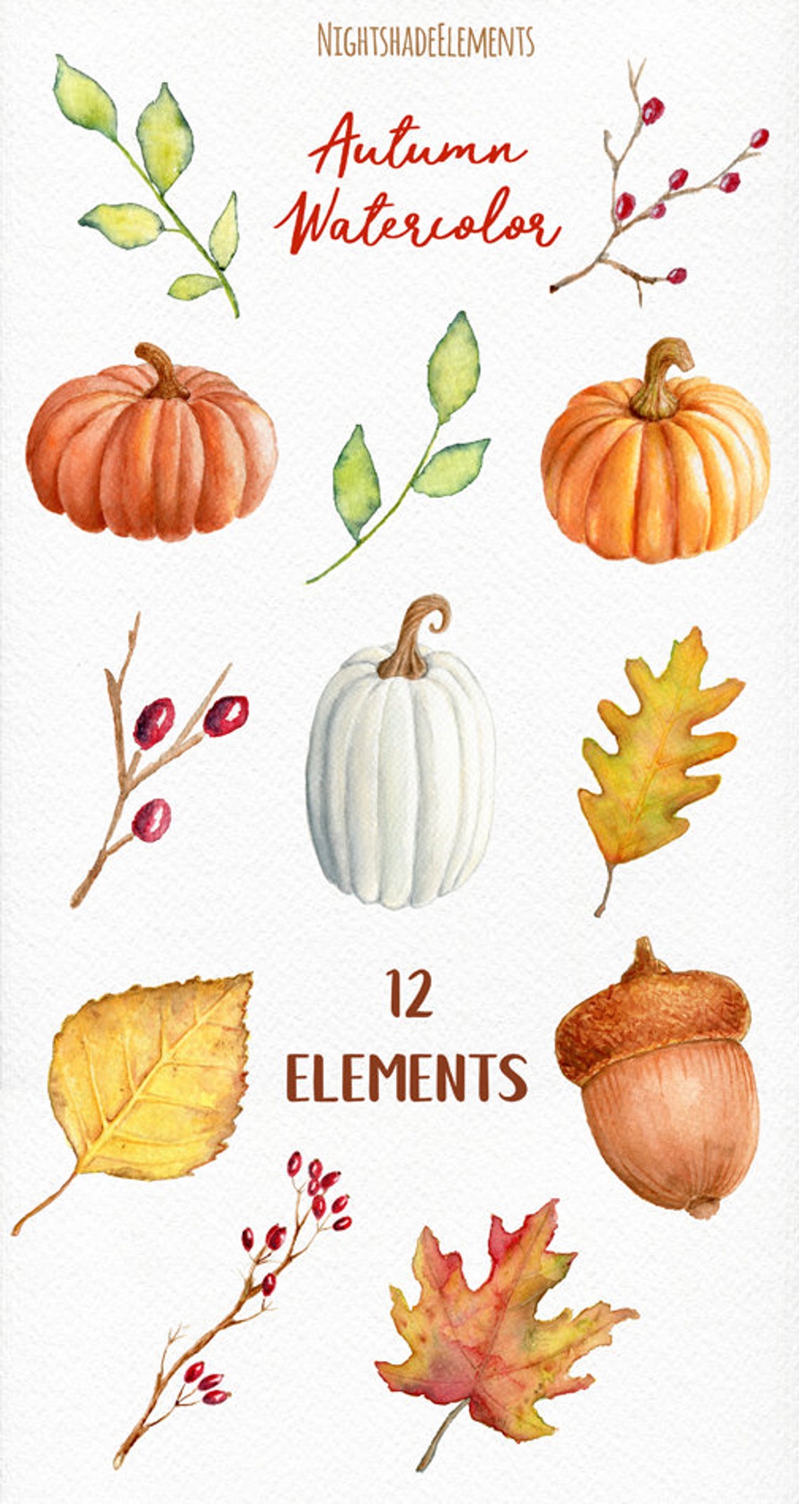 Watercolor Autumn Clipart Pumpkin Clipart Maple Leaves Clipart | Etsy